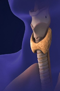 Best Cancer Hospital in India | Thangam Cancer Center